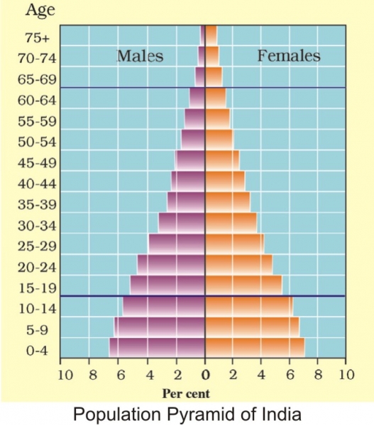 Nirman Care - an educational blog - Welcome to Nirman Care - Class VIII ...